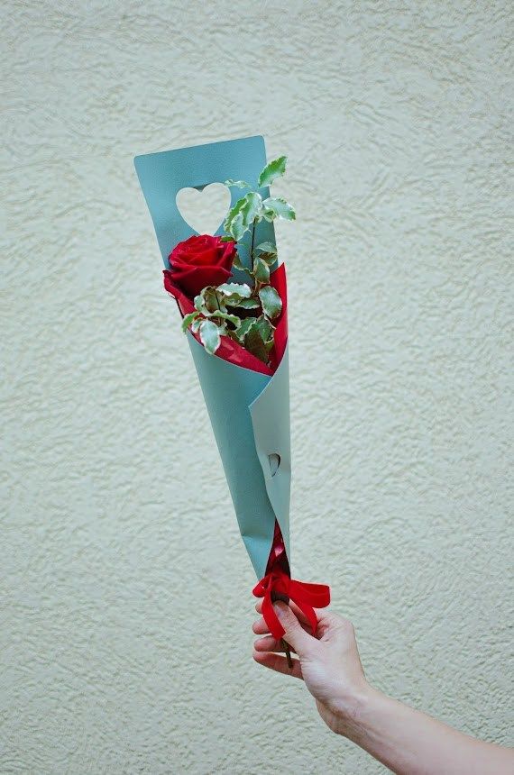 Trandafir roșu de Valentine's Day