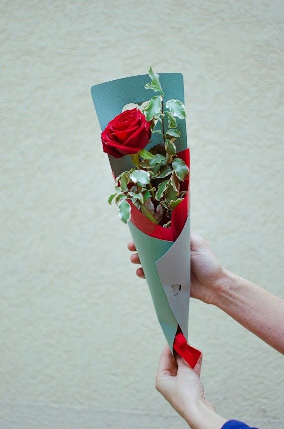 Trandafir roșu de Valentine's Day